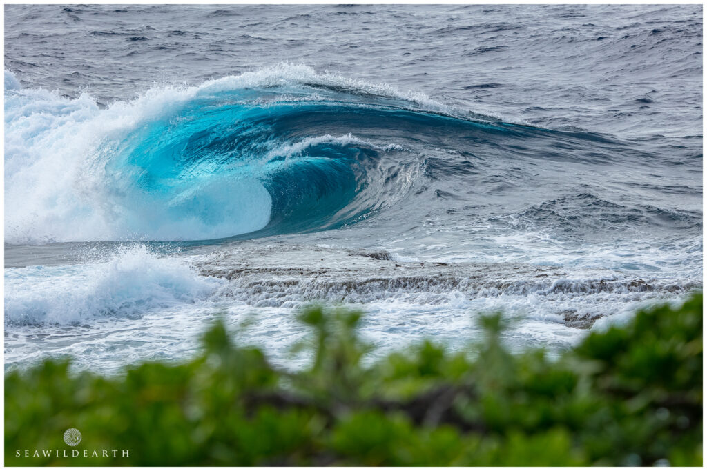 Wave Photography - seawildearth